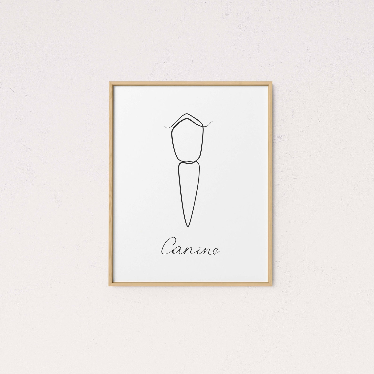 Canine Tooth One Line Art Dentist Gift Dentist Anatomy Art - Etsy