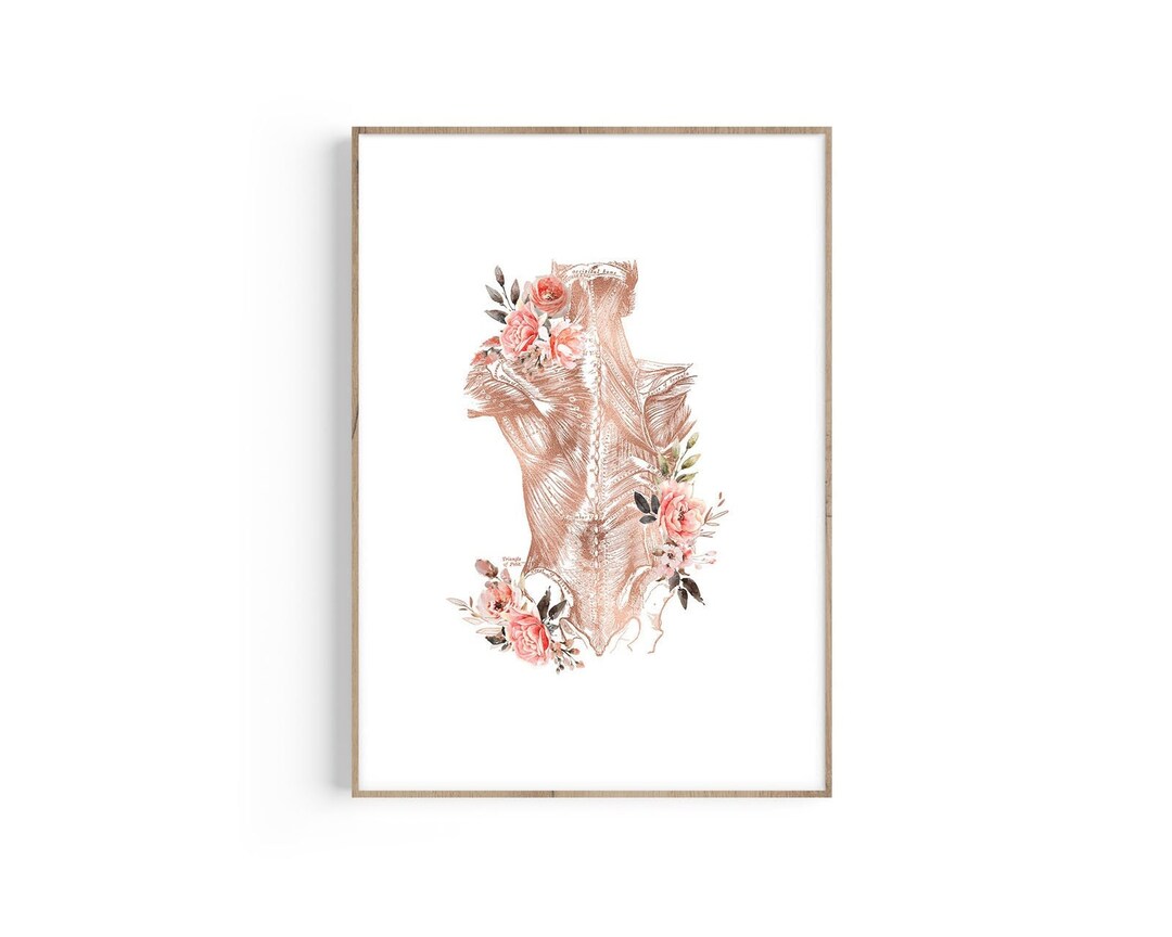 Floral Body Muscles Anatomy Art Print: Doctor/chiropractor Gift ...