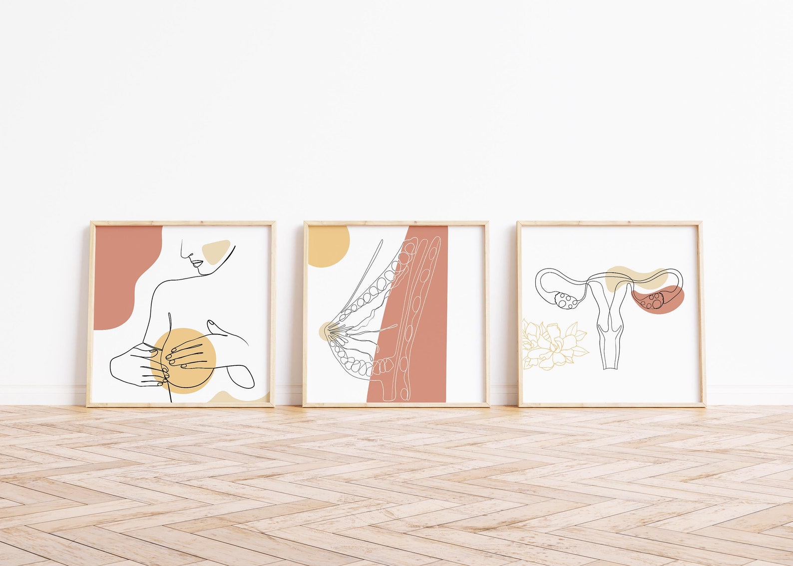 Breast & Uterus Anatomy Line Art Prints, OBGYN Office Decor (digital ...