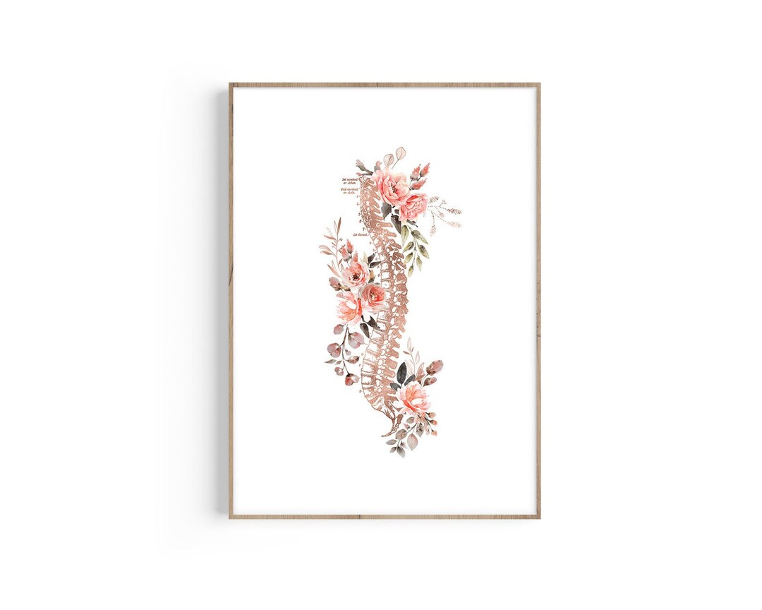 Spine Anatomy Poster Human Spine Print Chiropractor Gift - Etsy