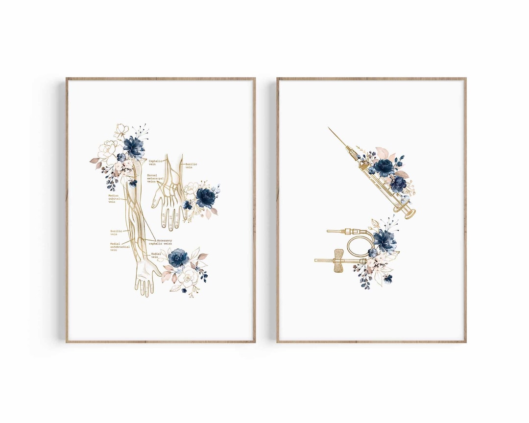 Phlebotomist Art, Draw Blood, Arm Veins, Nurse Gift, Venipuncture Art ...