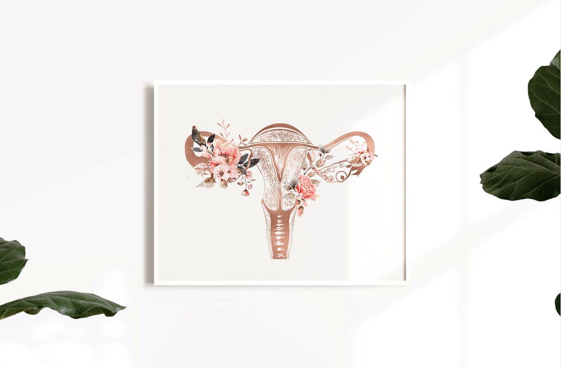 Uterus Anatomy Print Female Reproductive System Uterus Art | Etsy