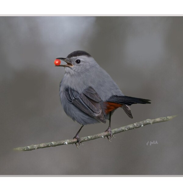 Catbird Painting - Etsy