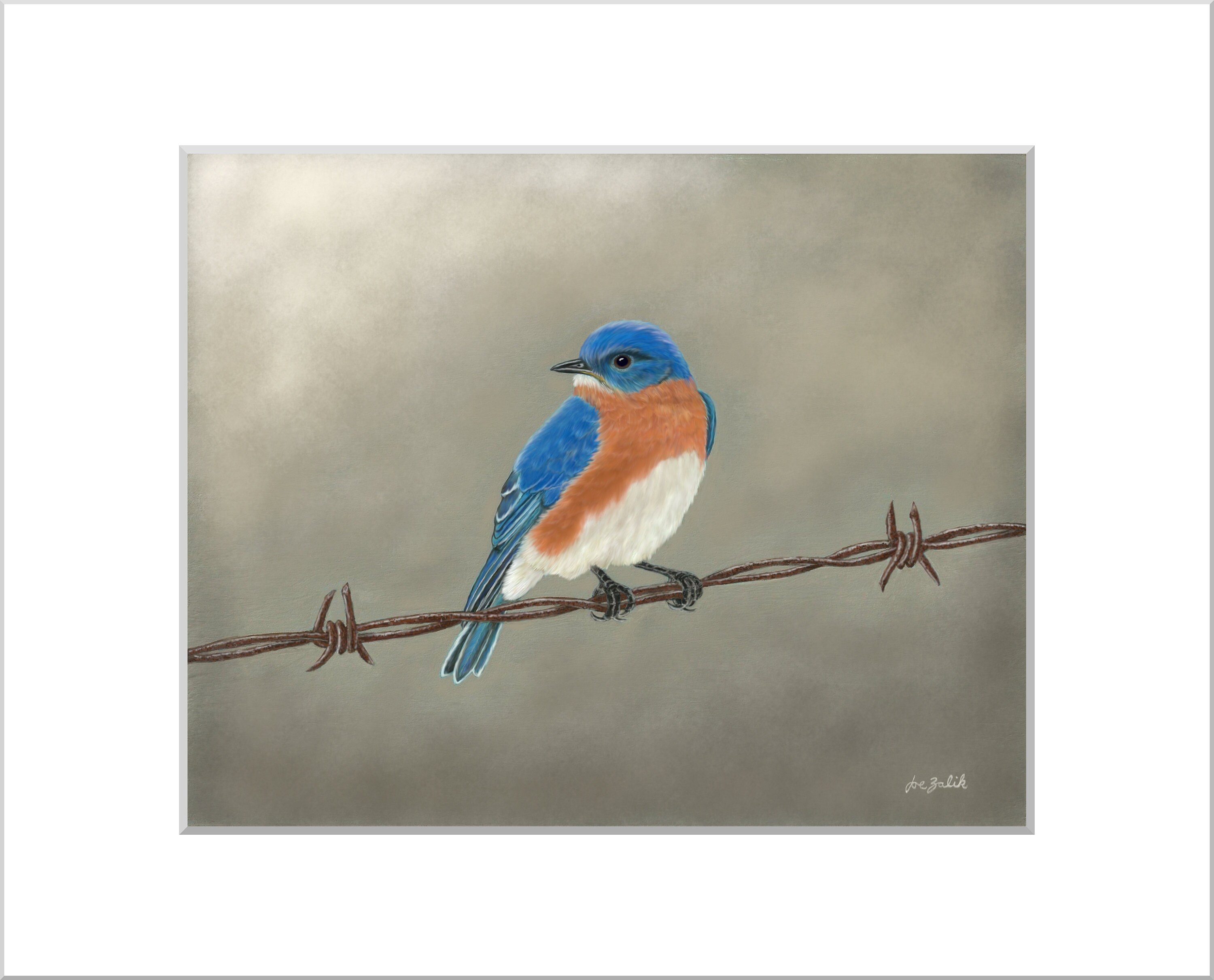 Eastern Bluebird Art Print, Bird Art, Bluebird Painting, Home Decor ...