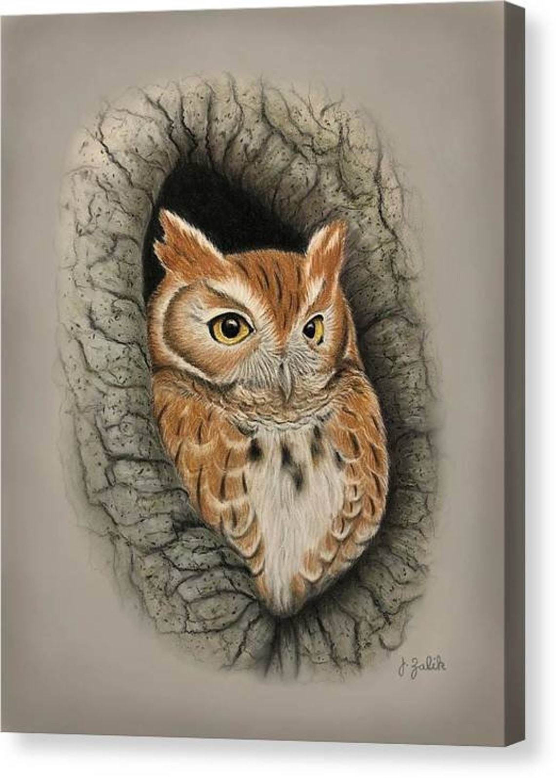 Screech Owl Print Bird Art Painting Home Decor Wall Art | Etsy