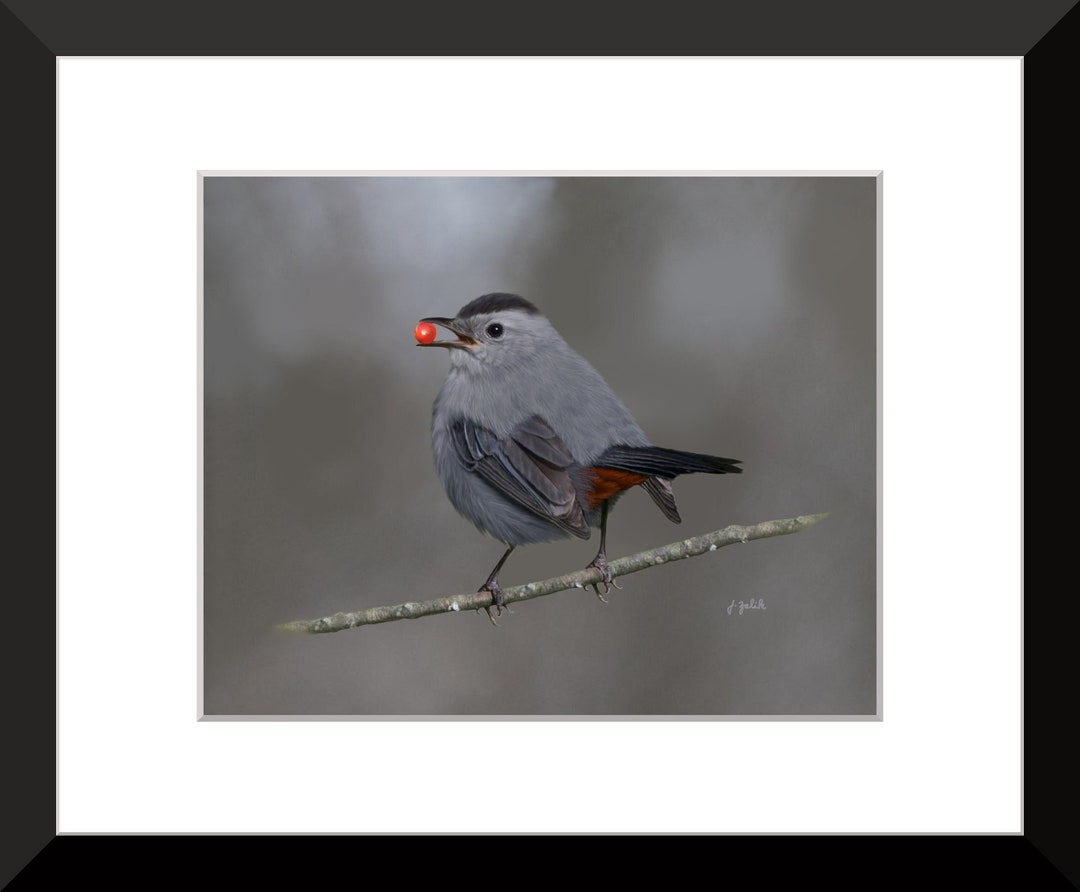 Gray Catbird Art Print, Bird Art, Catbird Painting, Home Decor ...