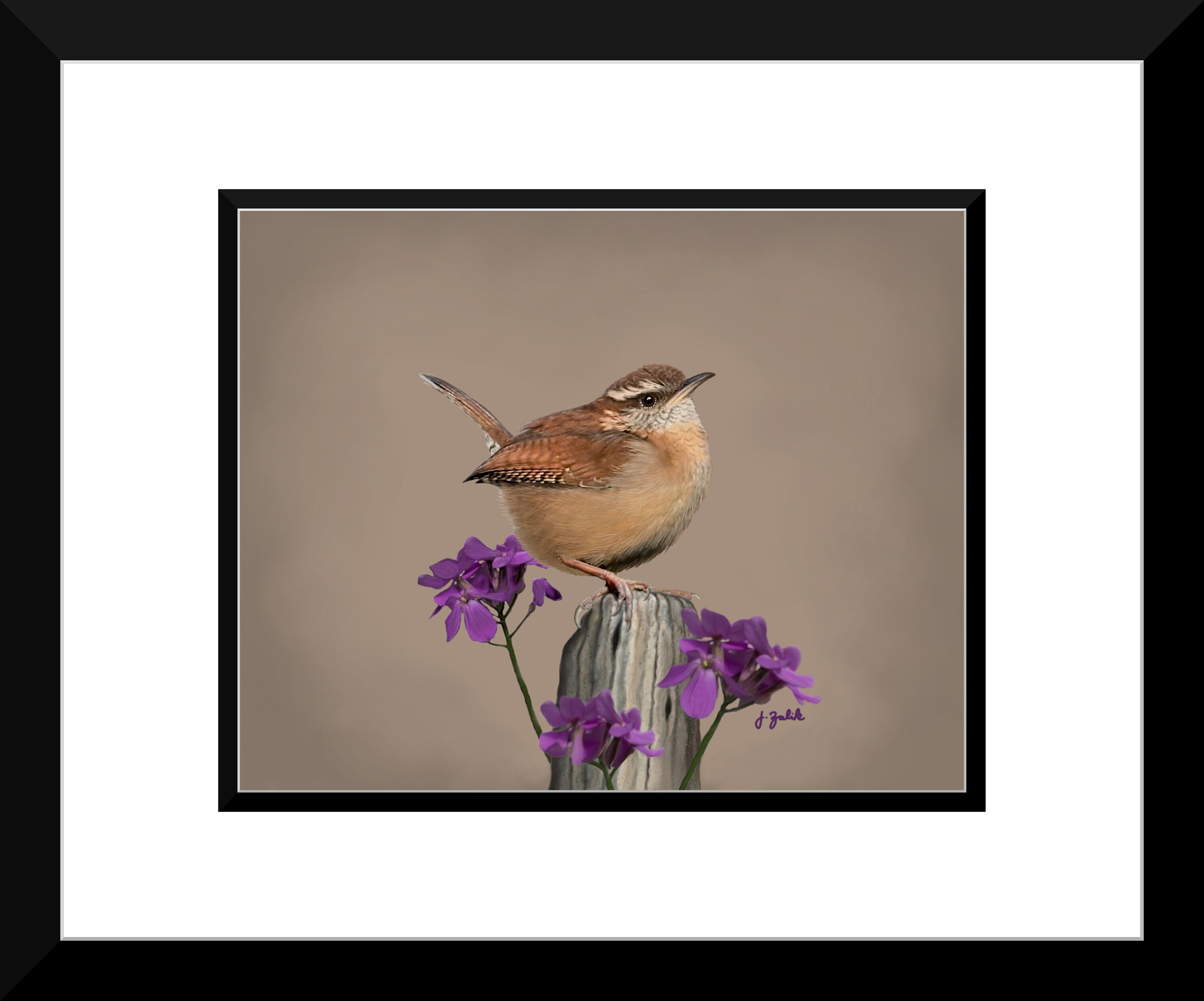 Carolina Wren Art Print, Bird Art, Wren Painting, Home Decor, Backyard ...