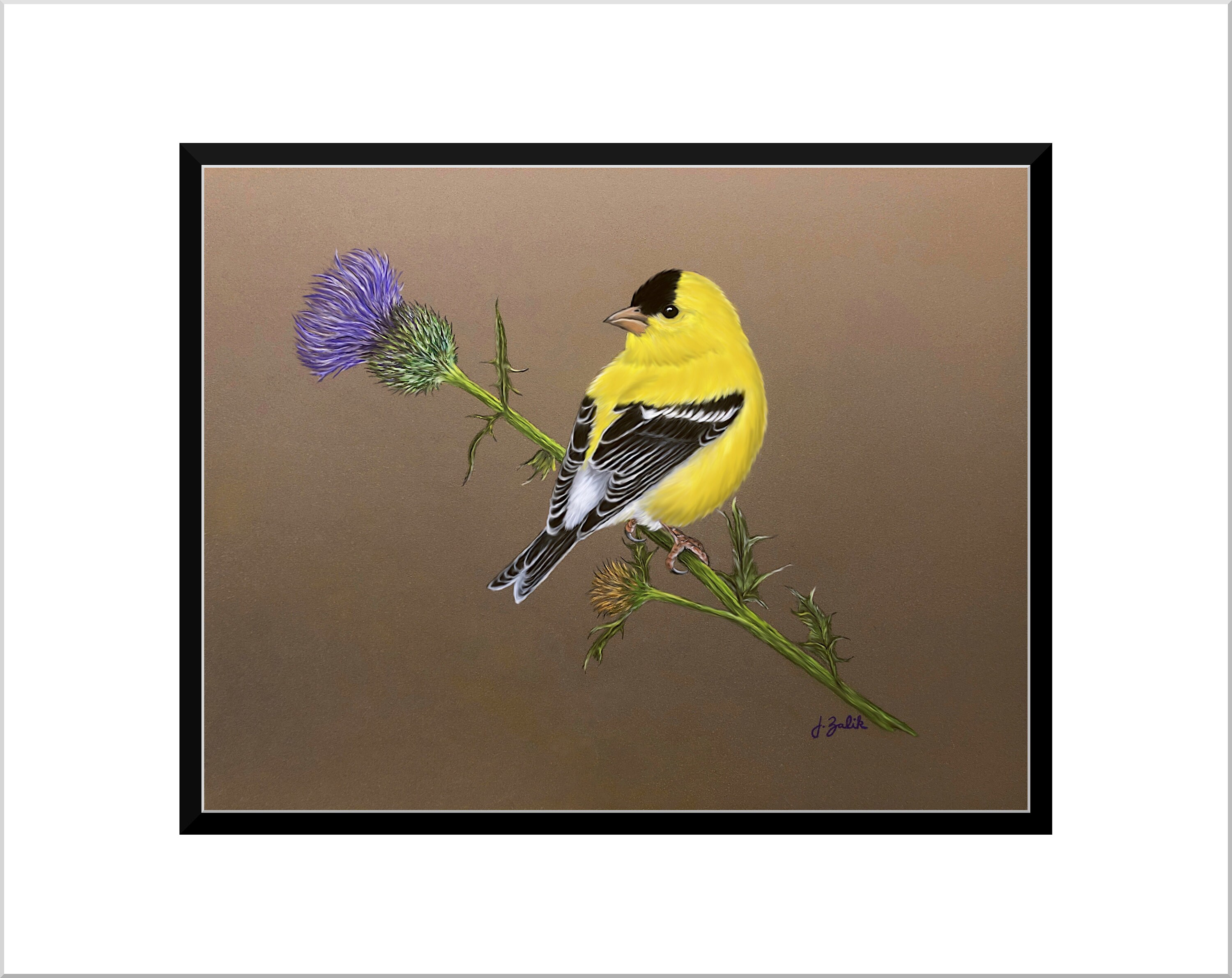American Goldfinch Art Print, Bird Art, Goldfinch Painting, Home Decor ...