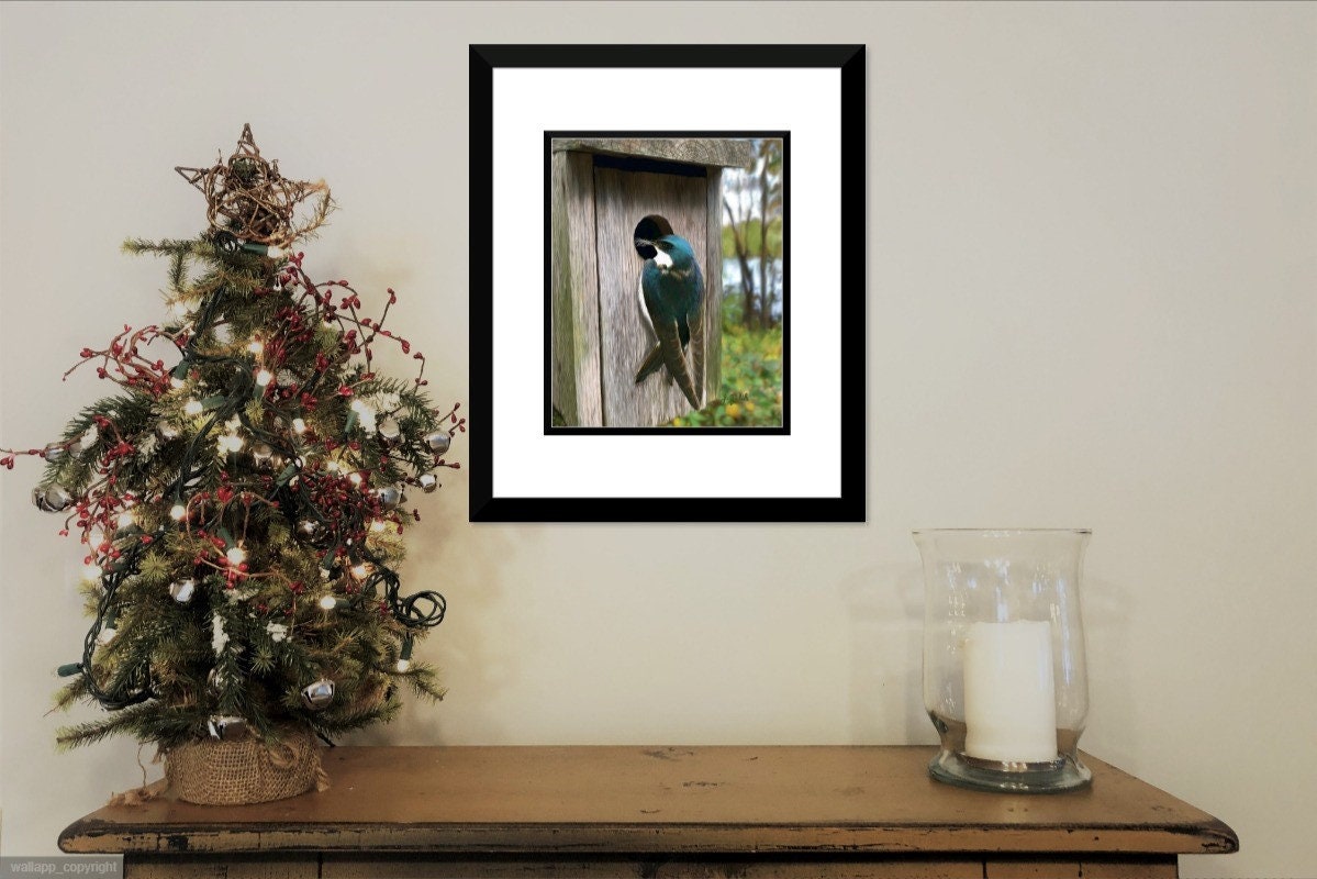 Tree Swallow Print Bird Art Painting Home Decor Backyard - Etsy