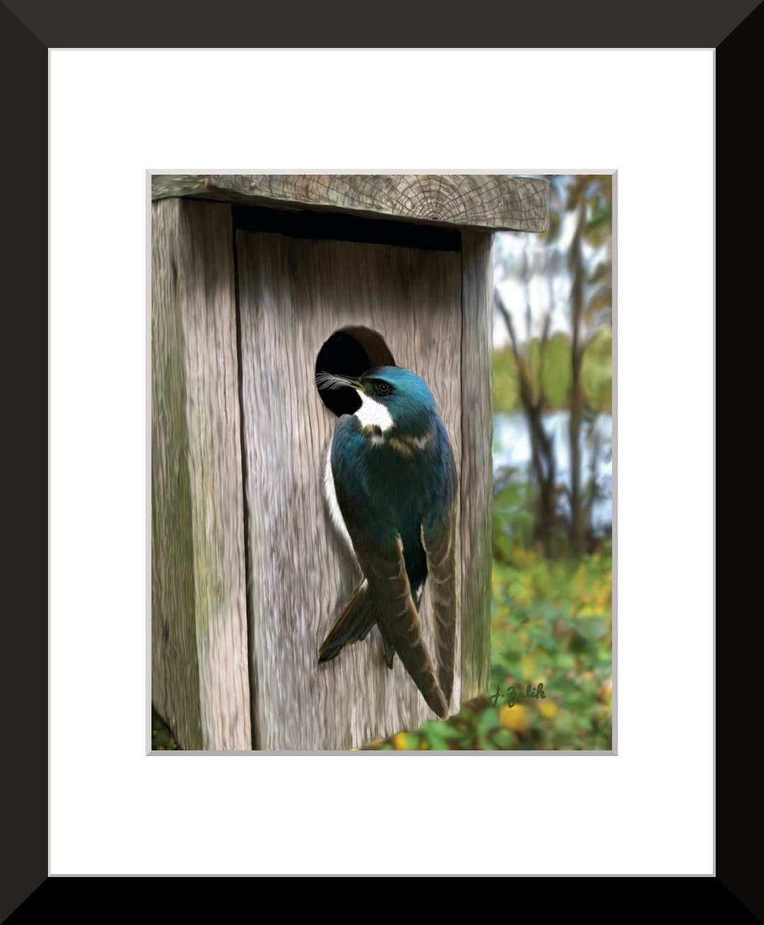Tree Swallow Print Bird Art Painting Home Decor Backyard - Etsy