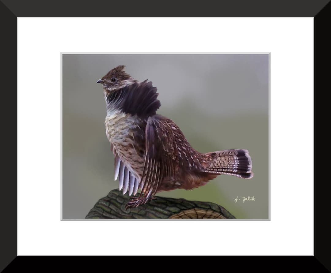 Ruffed Grouse Art Print, Bird Art, Grouse Painting, Home Decor, Forest ...