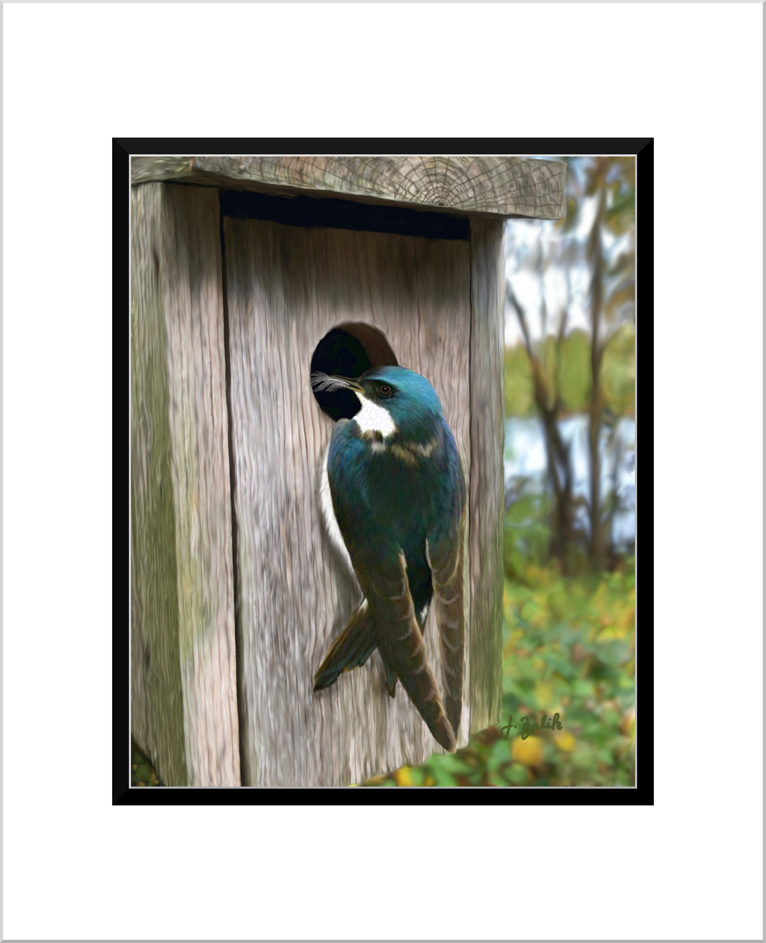 Tree Swallow Print Bird Art Painting Home Decor Backyard - Etsy