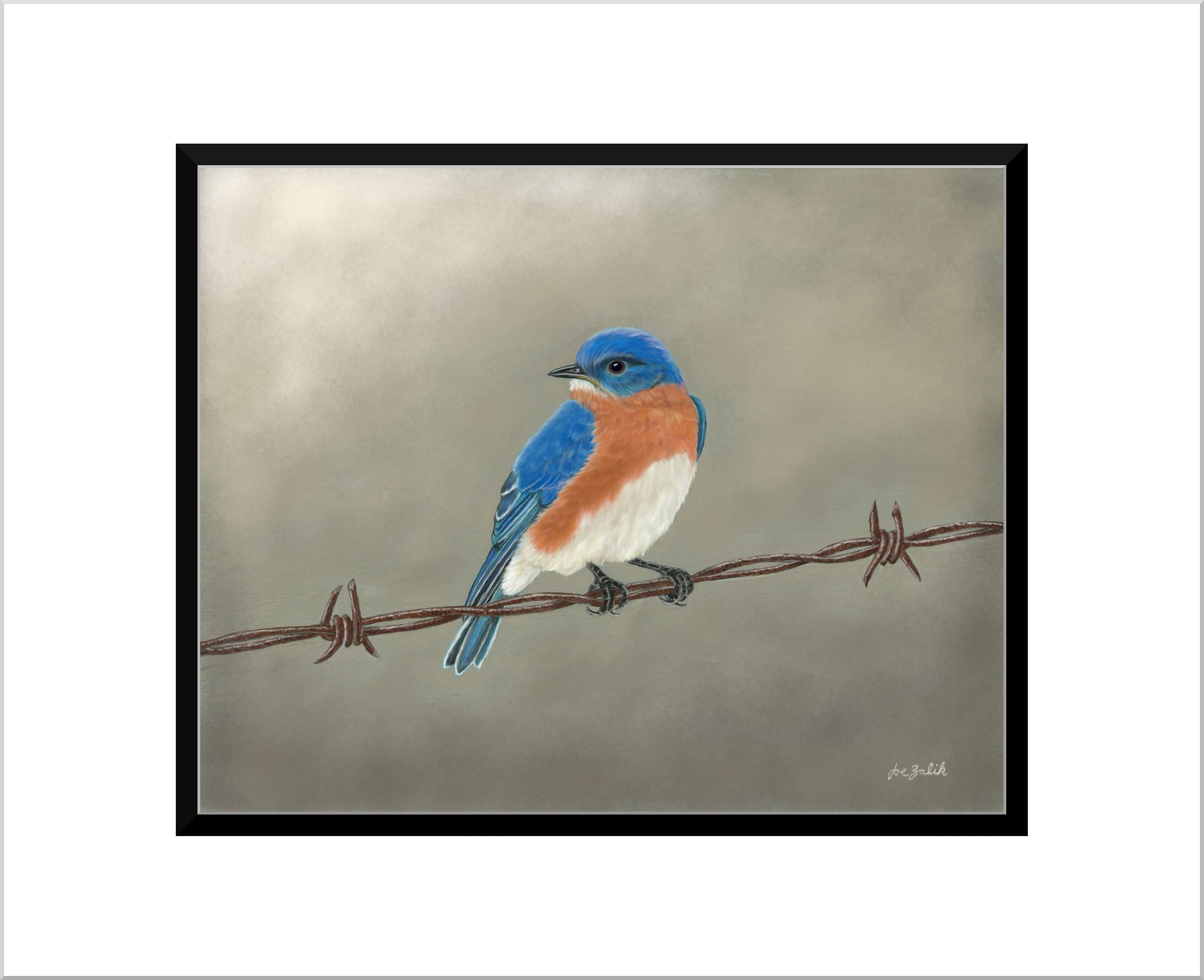 Eastern Bluebird Art Print, Bird Art, Bluebird Painting, Home Decor ...