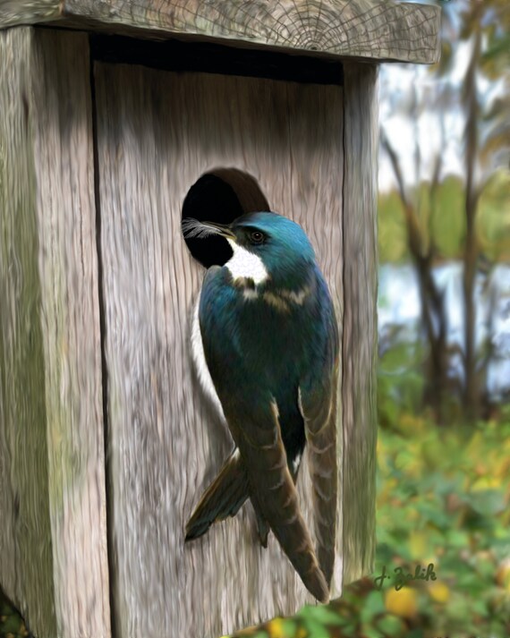 Tree Swallow Print Bird Art Painting Home Decor Wall Art - Etsy