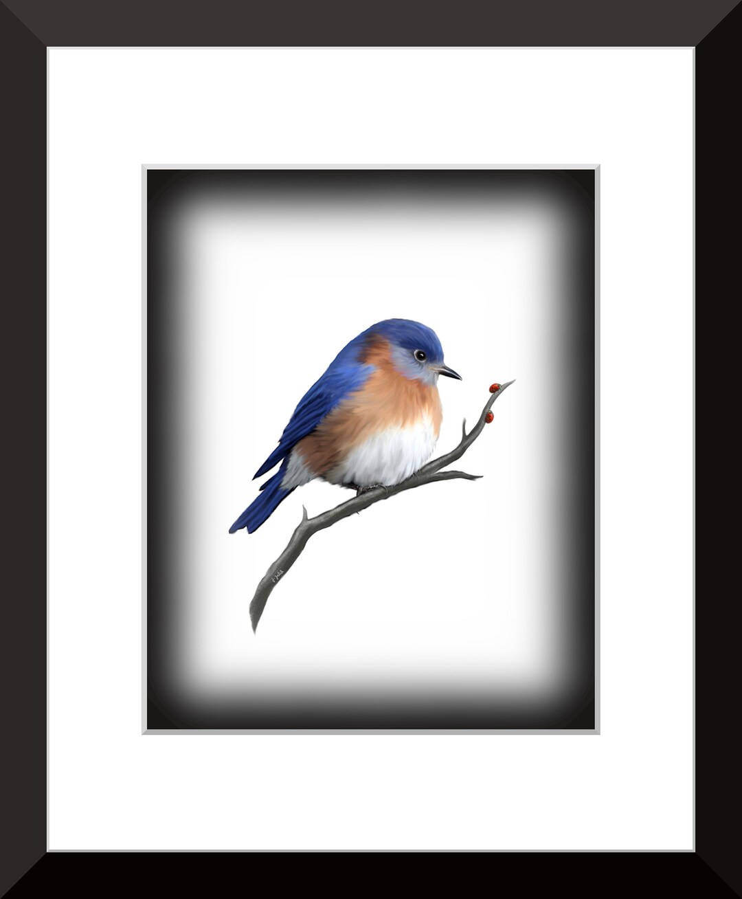 Eastern Bluebird Art Print, Bird Art, Bluebird Painting, Home Decor ...