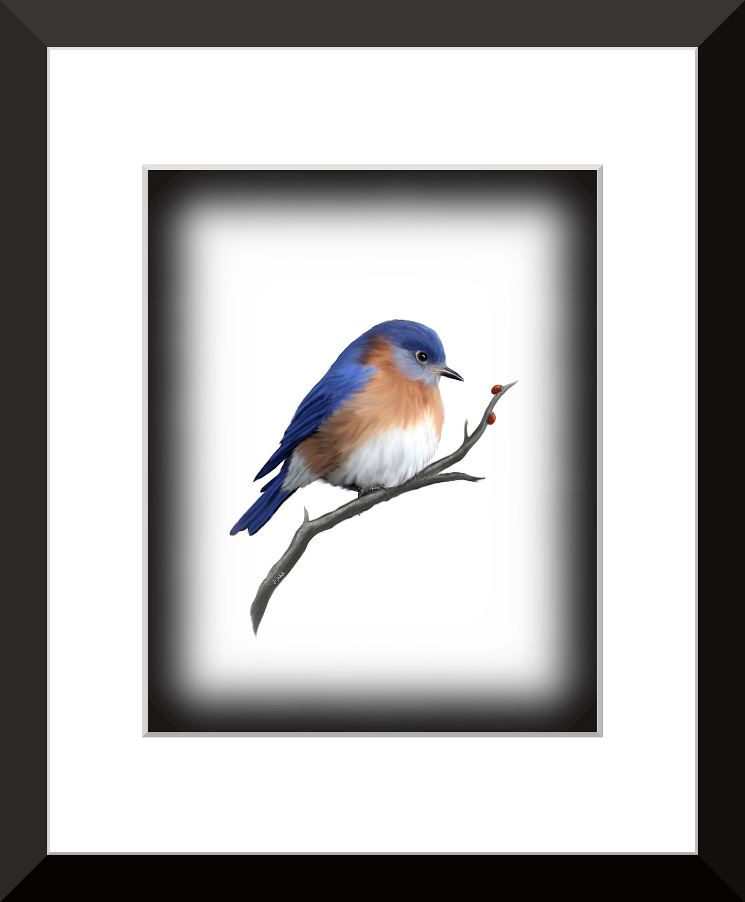 Eastern Bluebird Art Print, Bird Art, Bluebird Painting, Home Decor ...