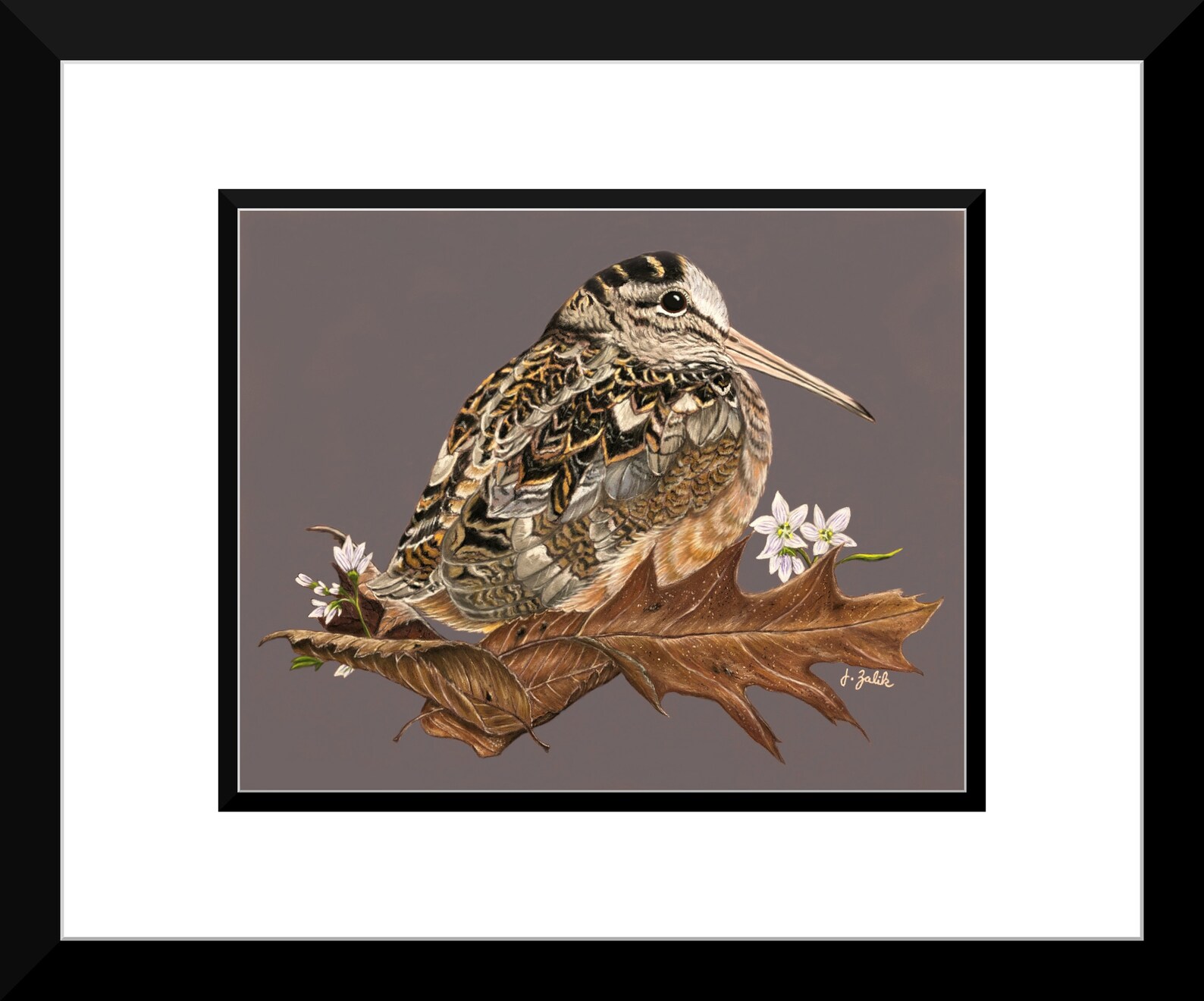 American Woodcock Art Print, Bird Art, Woodcock Painting, Home Decor ...