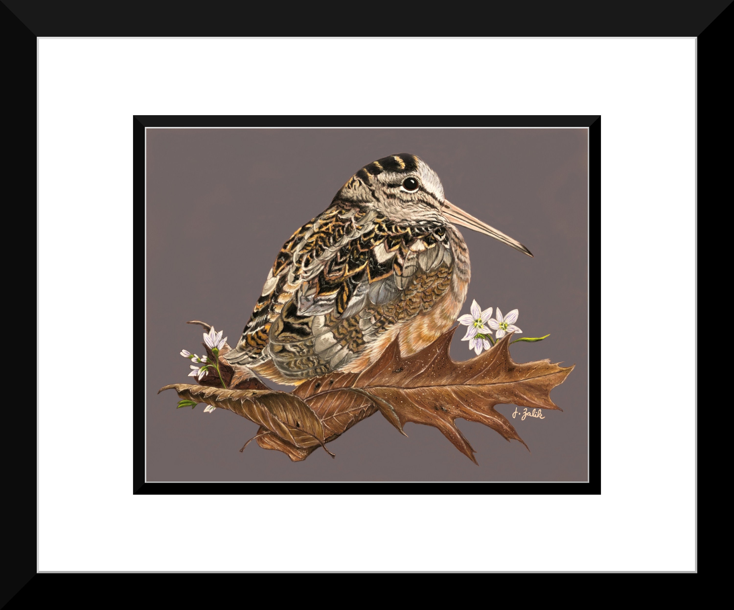 American Woodcock Art Print, Bird, Art, Woodcock Painting, Home Decor ...