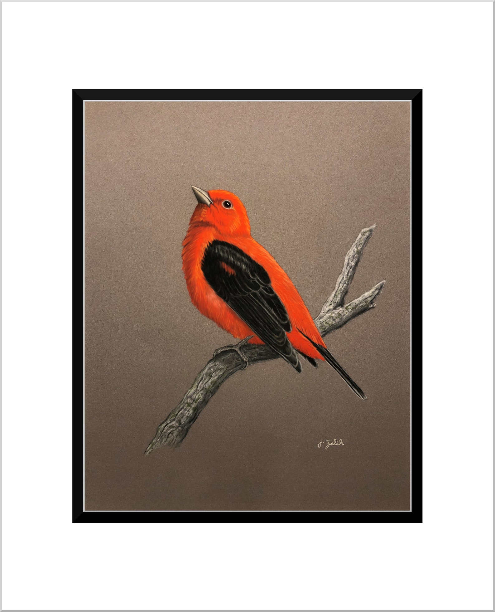 Scarlet Tanager Art Print, Bird Art, Home Decor, Tanager Painting ...