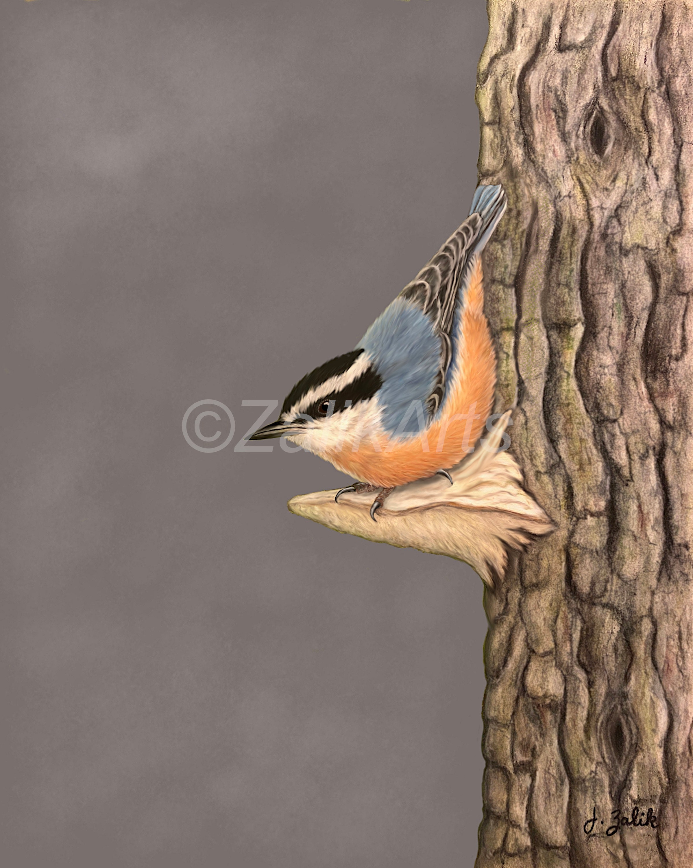 Red-breasted Nuthatch Art Print, Bird Art, Nuthatch Painting, Home ...
