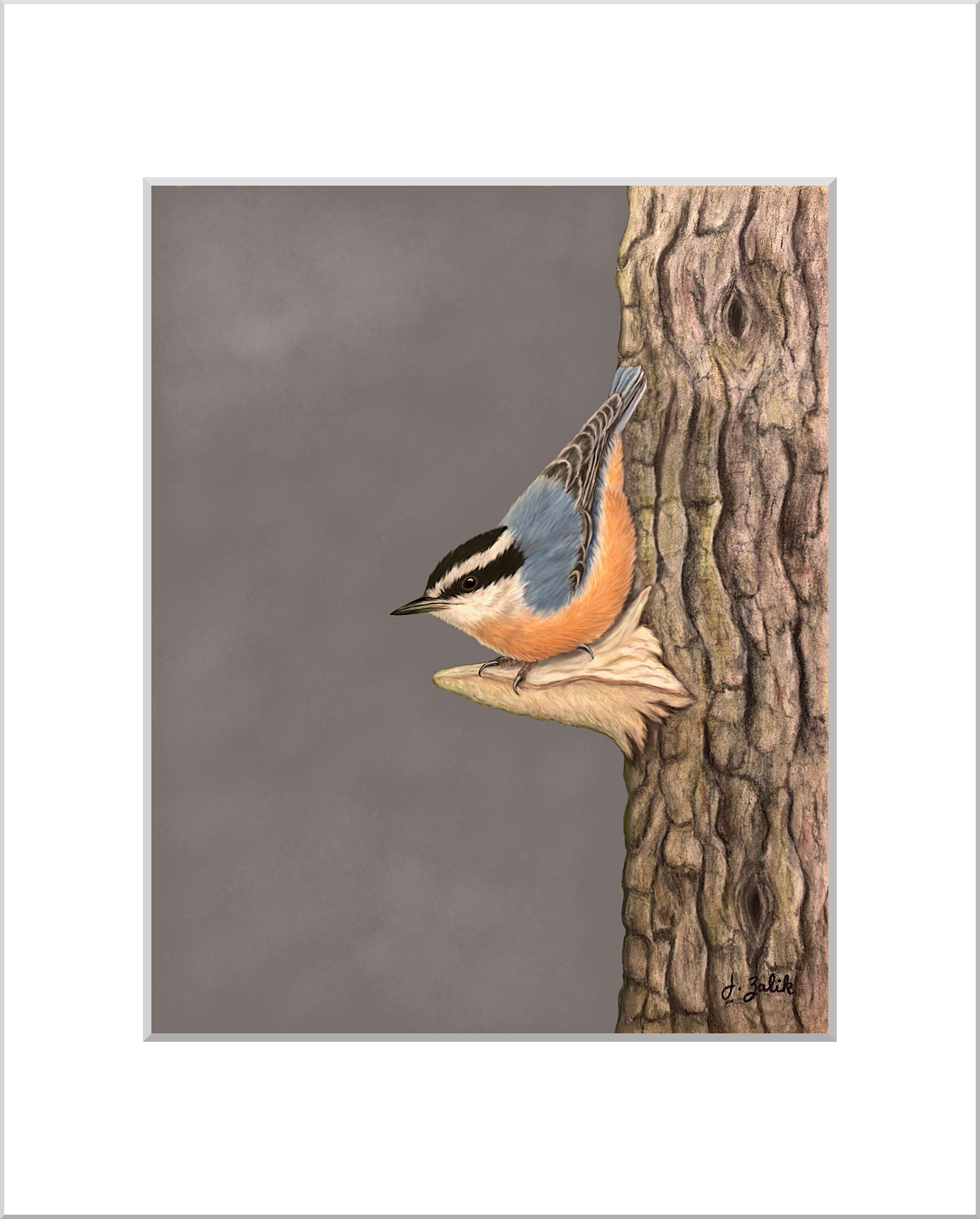 Red-breasted Nuthatch Art Print, Bird Art, Nuthatch Painting, Home ...