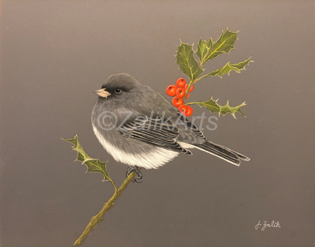 Dark-eyed Junco Art Print, Bird Art, Junco Painting, Home Decor, Feeder ...