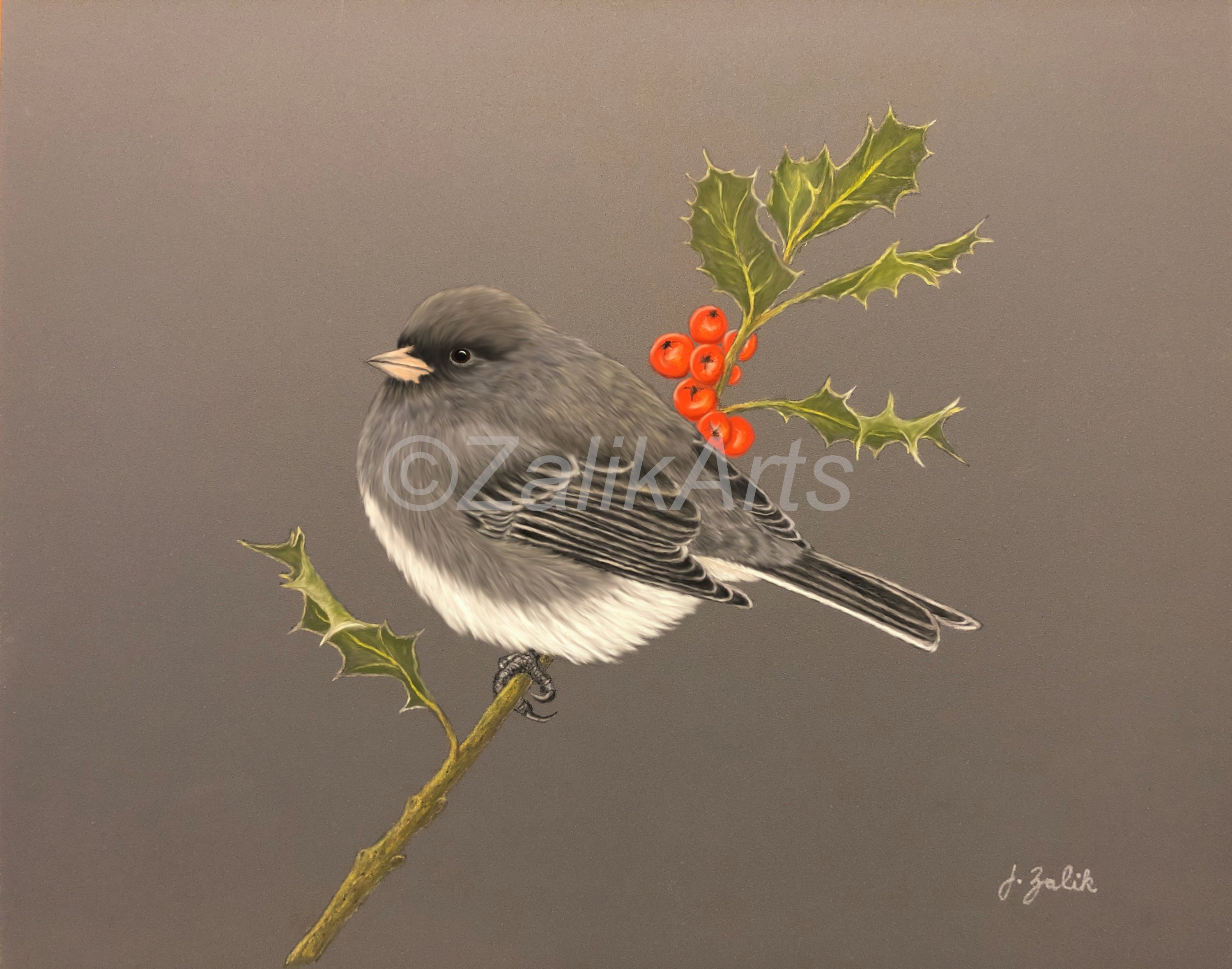Dark-eyed Junco Art Print, Bird Art, Junco Painting, Home Decor, Feeder ...