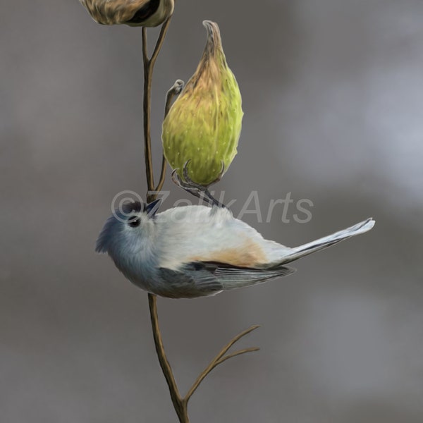 Tufted Titmouse - Etsy