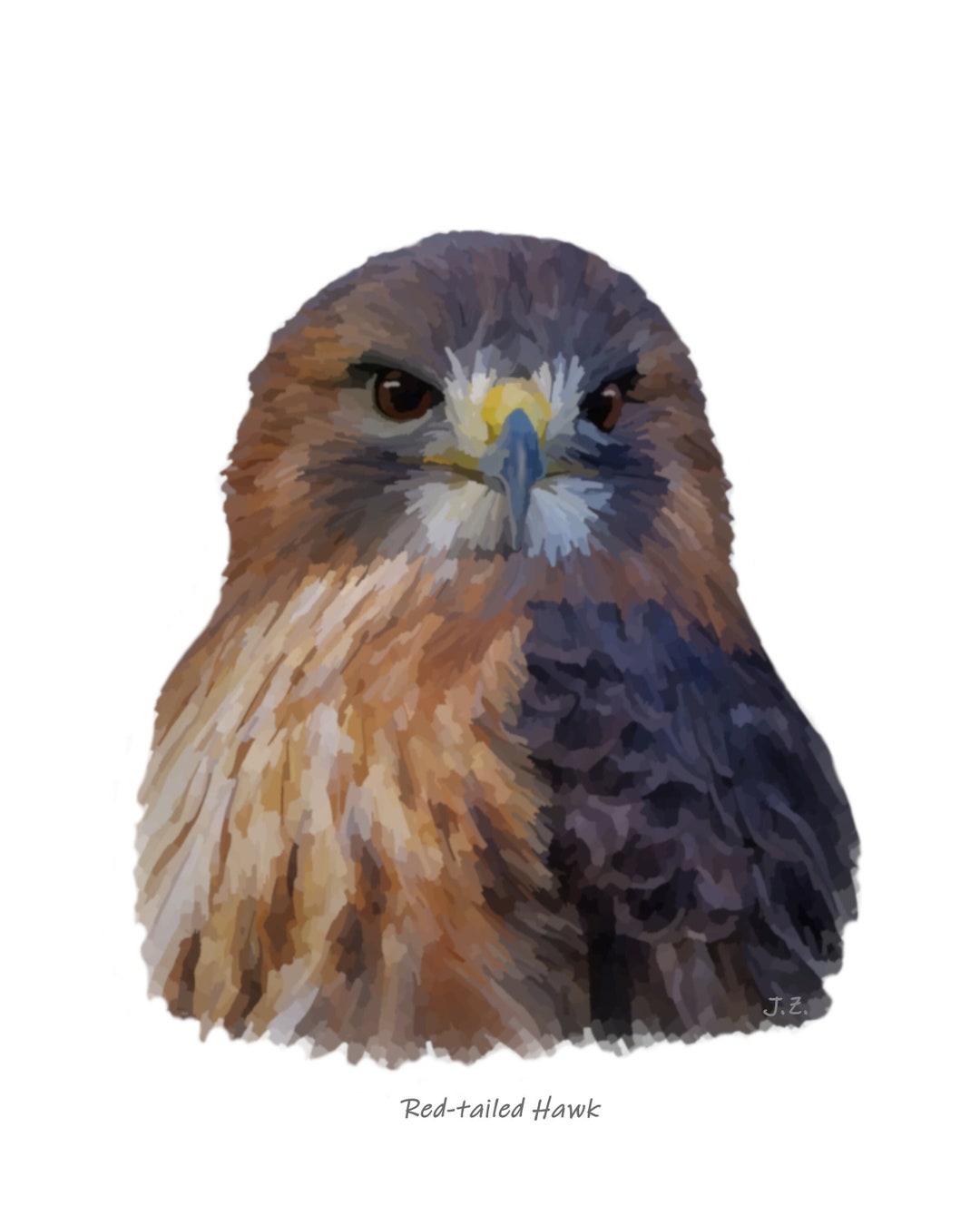 Red-tailed Hawk Print, Bird, Art, Painting, Home Decor, Hawks, Buteos ...