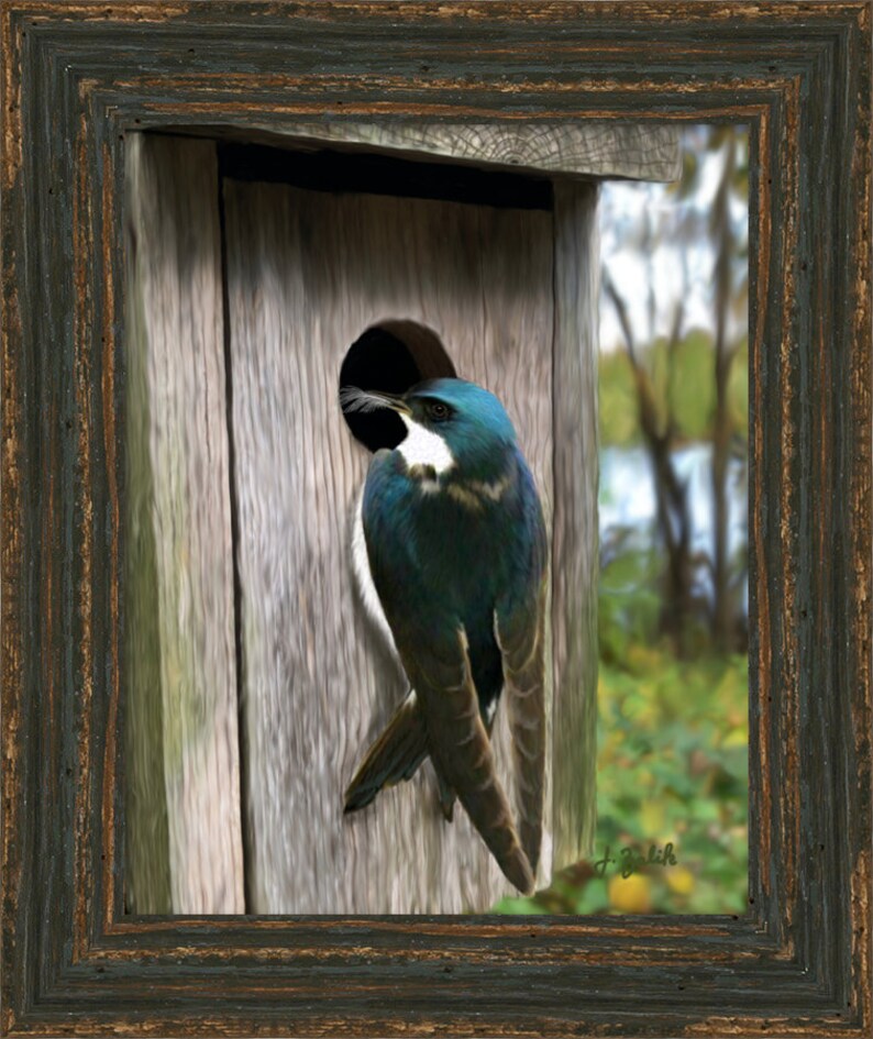 Tree Swallow Print Bird Art Painting Home Decor Wall Art - Etsy