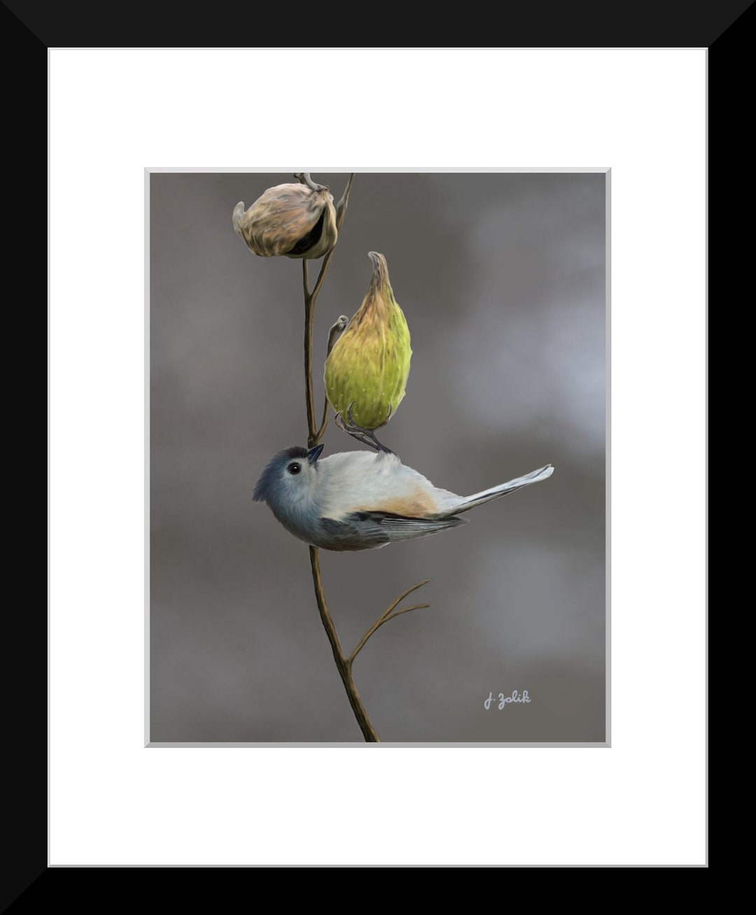 Tufted Titmouse Art Print, Bird Art, Titmouse Painting, Home Decor ...