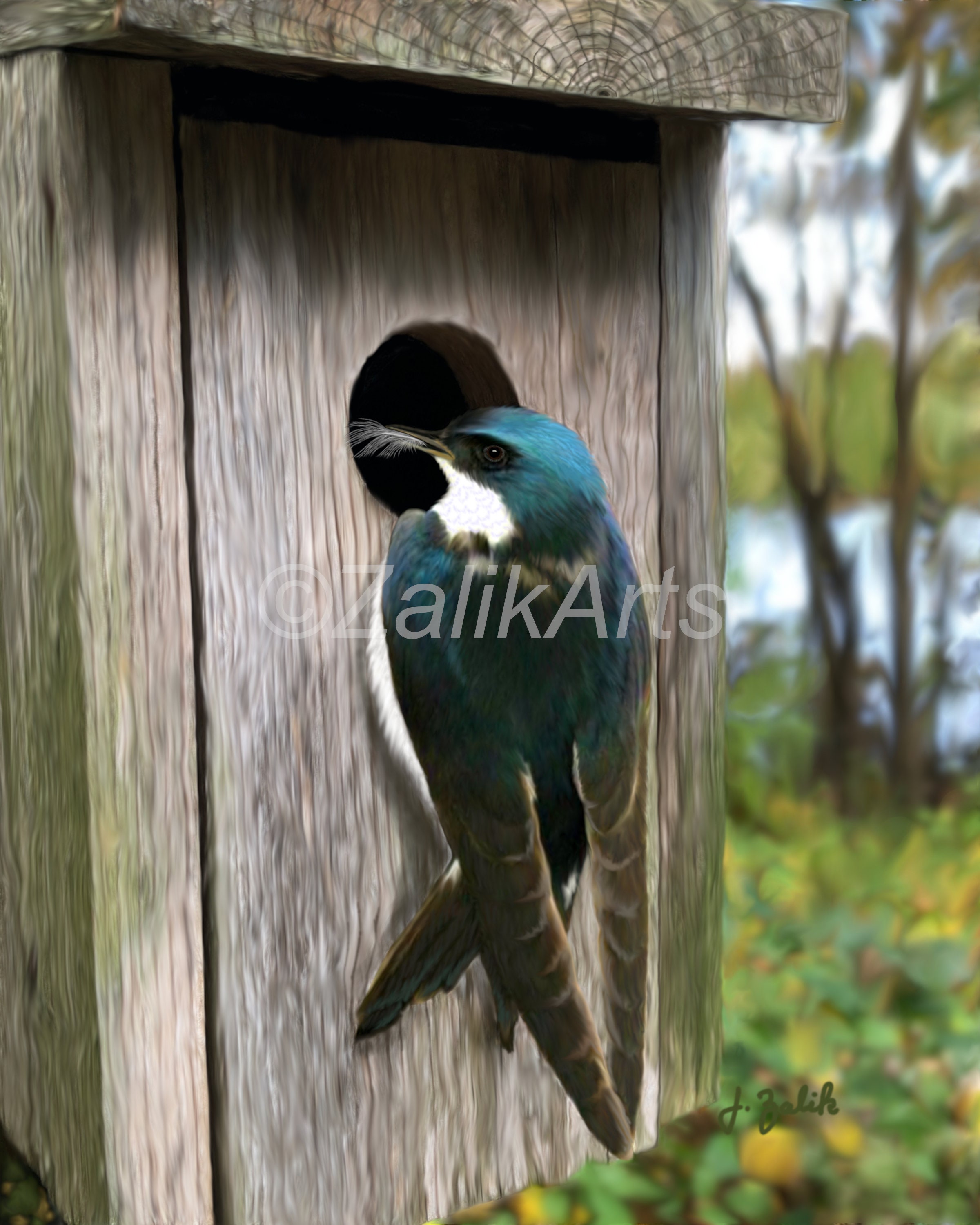 Tree Swallow Print Bird Art Painting Home Decor Backyard - Etsy
