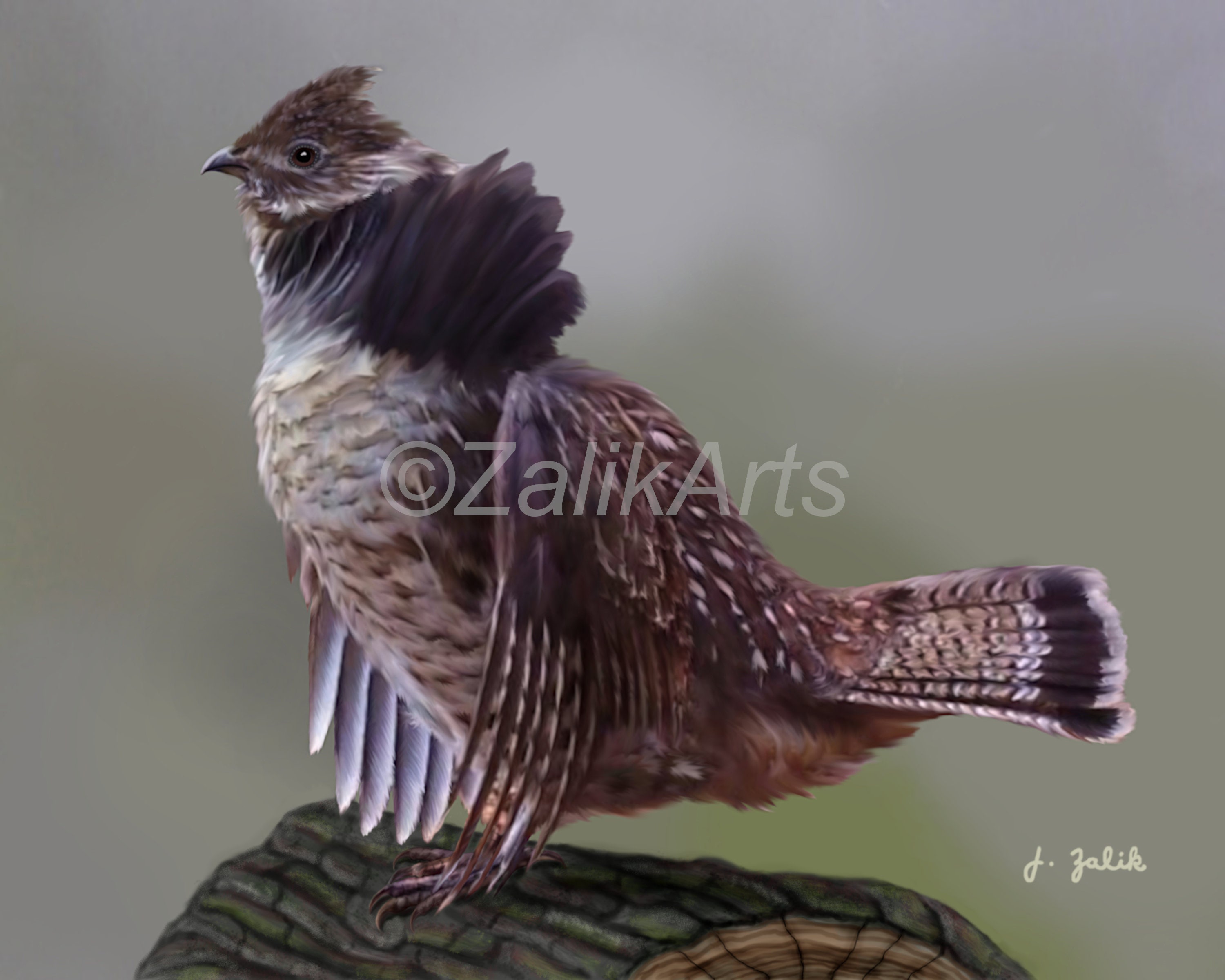 Ruffed Grouse Art Print, Bird Art, Grouse Painting, Home Decor, Forest ...