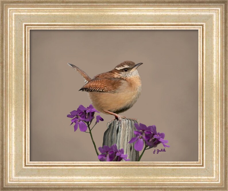 Carolina Wren Art Print, Bird Art, Wren Painting, Home Decor, Backyard ...