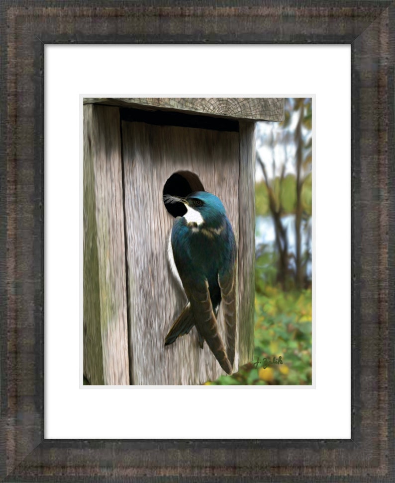 Tree Swallow Print Bird Art Painting Home Decor Wall Art - Etsy