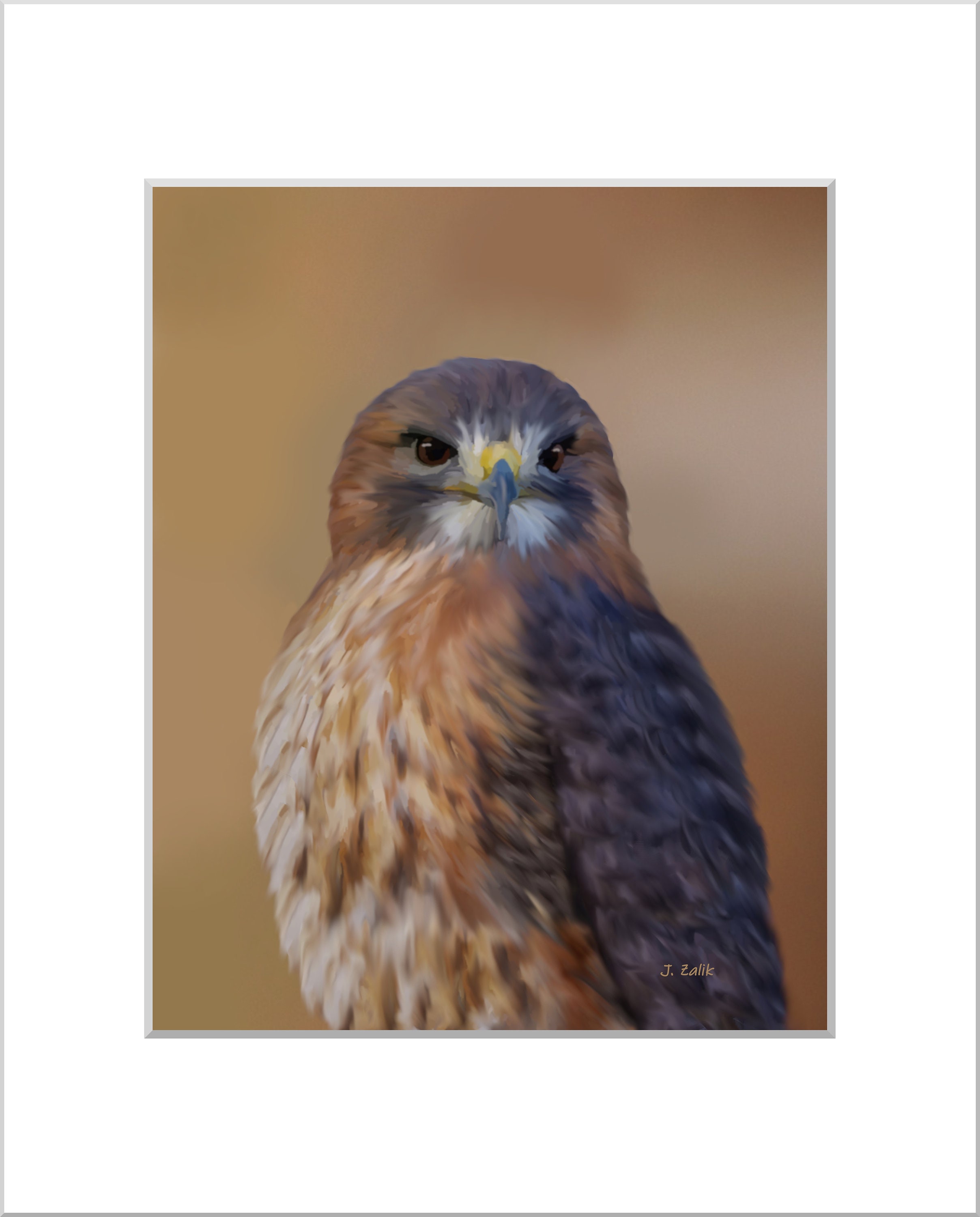 Red-tailed Hawk Art Print, Matted or Framed, Bird of Prey - Etsy