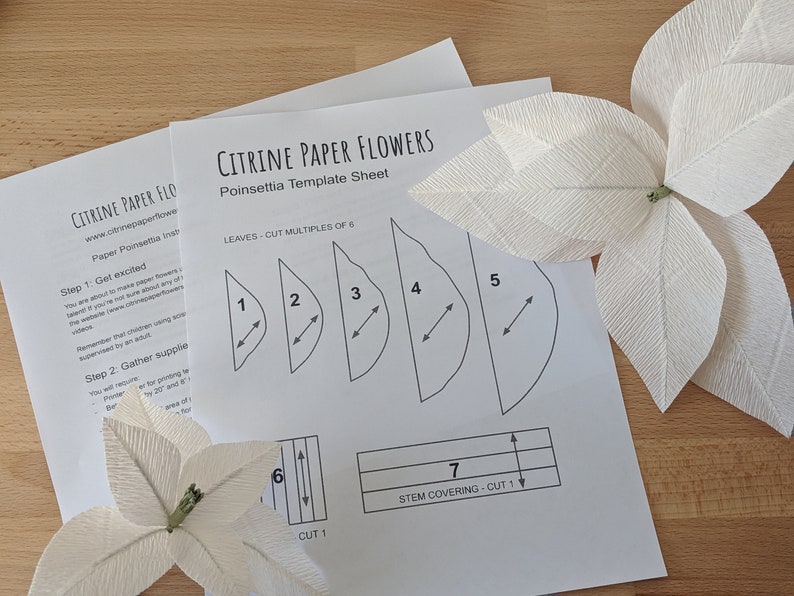 Downloadable Crepe Paper Poinsettia Template pdf Printable Etsy