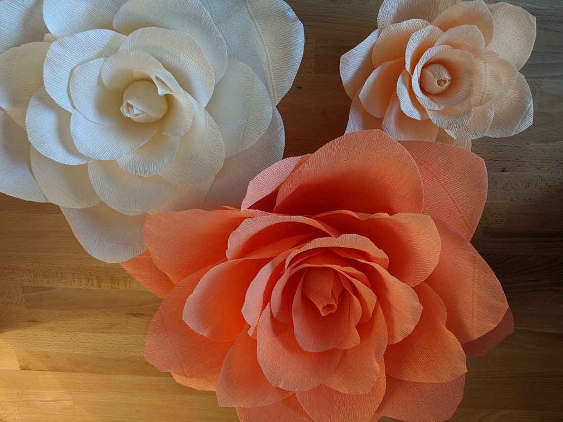 Downloadable Wall Rose Template/DIY Crepe Paper Wall | Etsy