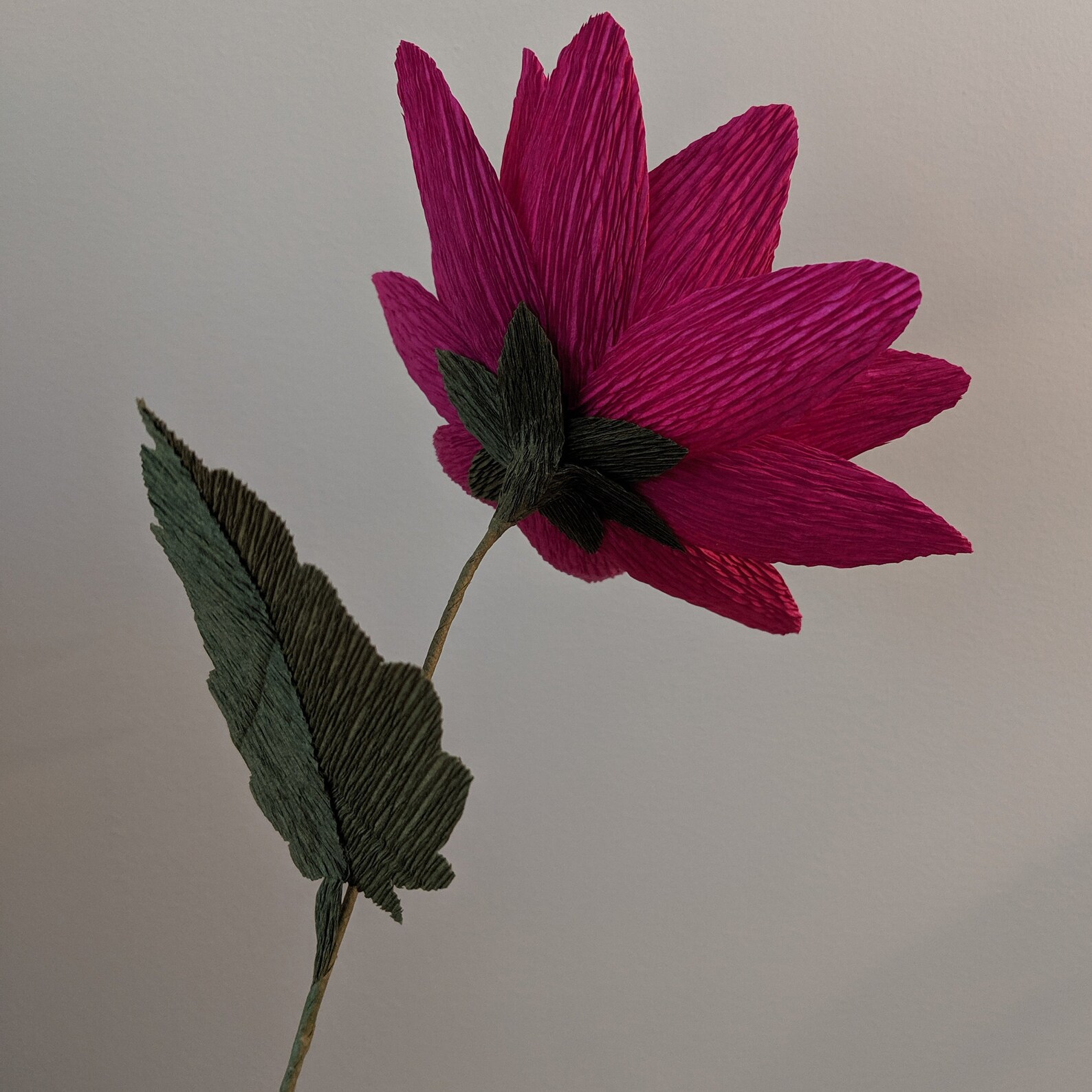 Downloadable Crepe Paper Dahlia Template/pdf Printable Download/diy ...