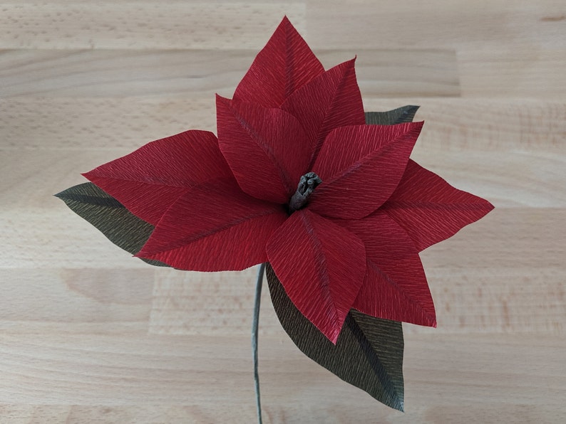 downloadable-crepe-paper-poinsettia-template-pdf-printable-etsy