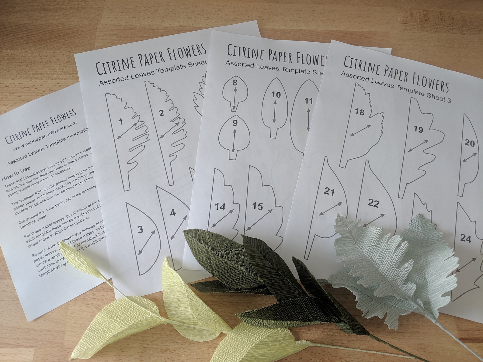 Downloadable Assorted Leaves Template/pdf Printable Download/diy Paper ...