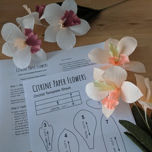 Downloadable Crepe Paper Orchid Template/pdf Printable Download/diy ...