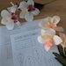 Downloadable Crepe Paper Orchid Template/pdf Printable Download/diy ...