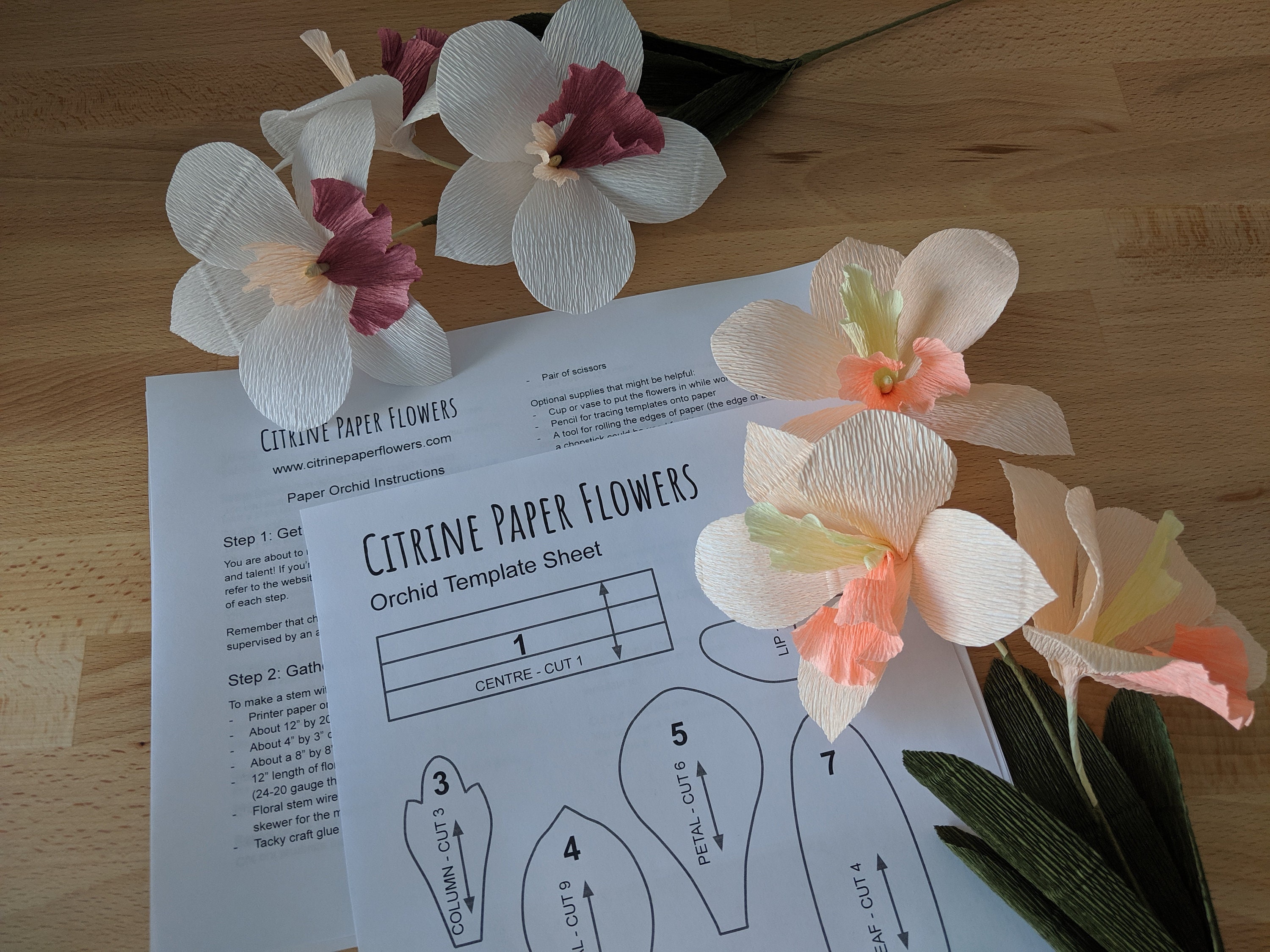 Downloadable Crepe Paper Orchid Template/pdf Printable Download/diy ...