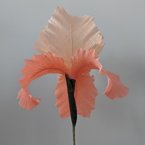 Downloadable Crepe Paper Iris Template/pdf Printable Download/diy Paper ...