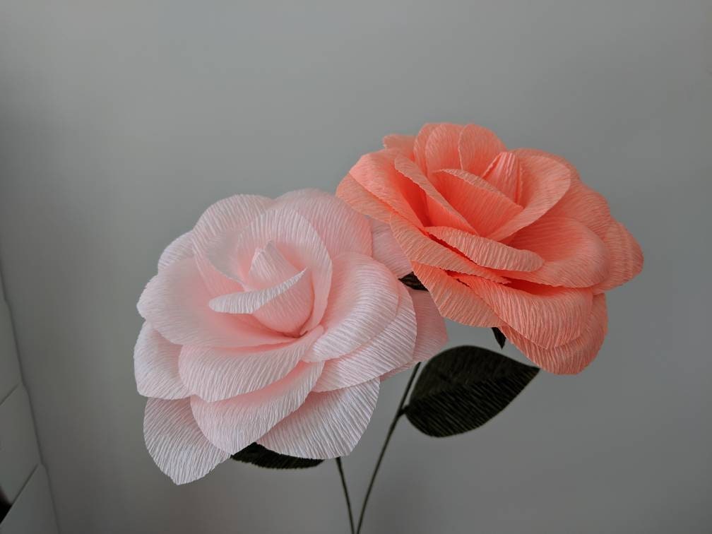 Downloadable Crepe Paper Rose Template/pdf Printable - Etsy