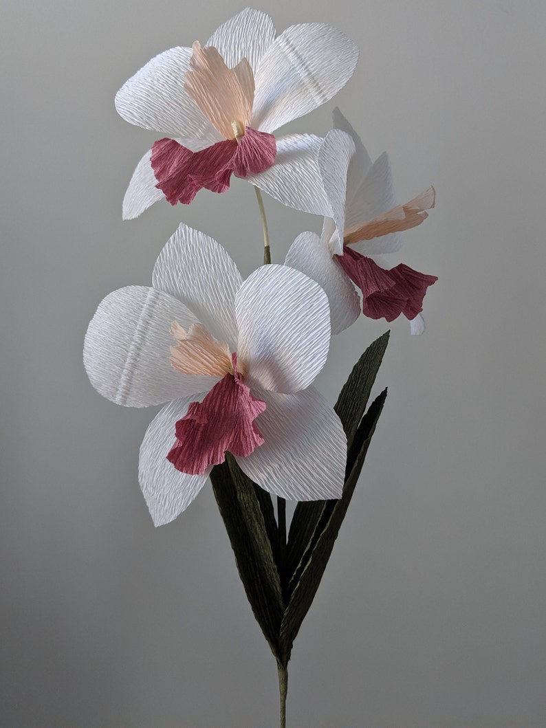Downloadable Crepe Paper Orchid Template/pdf Printable Download/diy ...