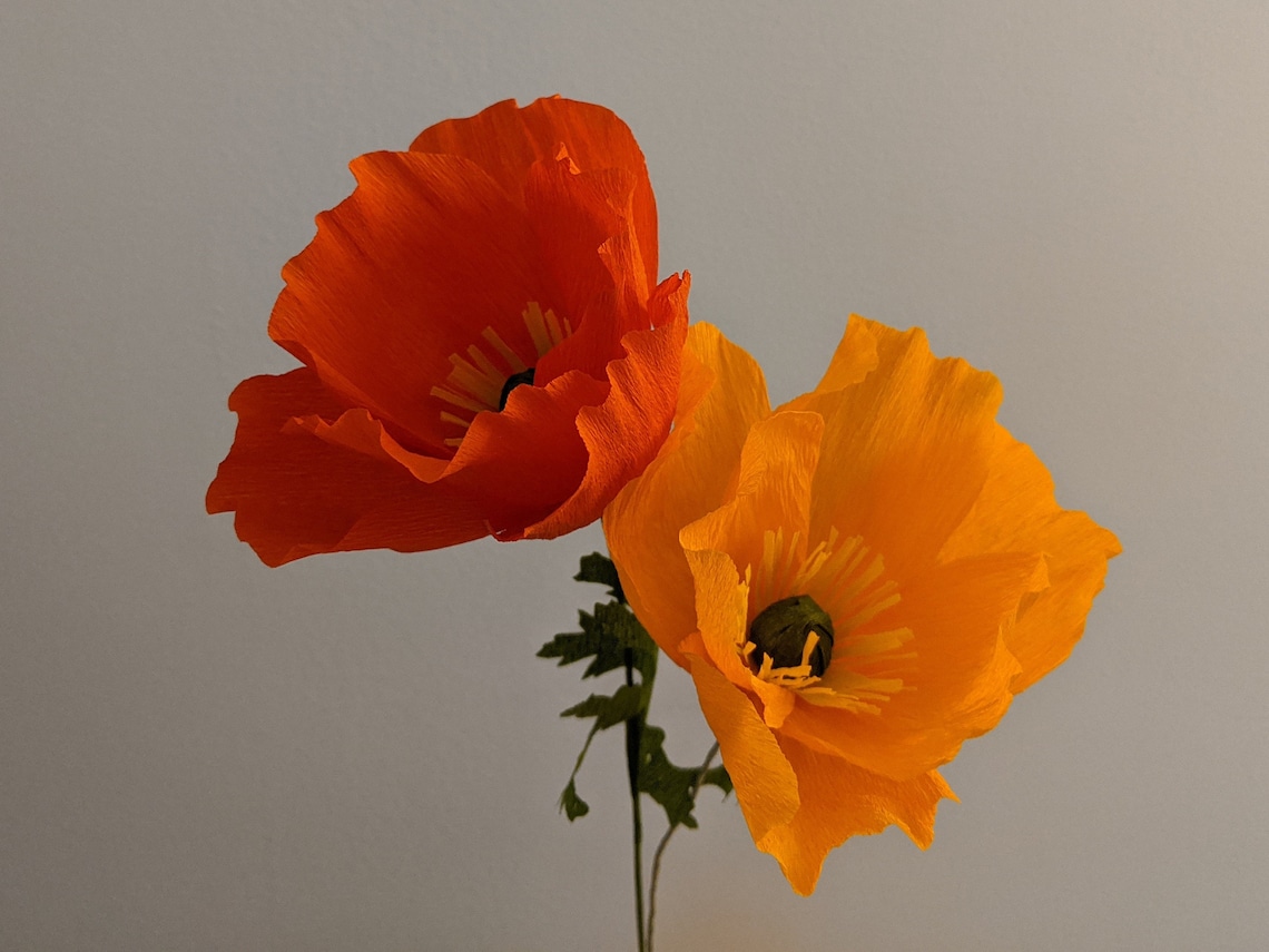 Downloadable Crepe Paper Poppy Template/pdf Printable Download/diy ...