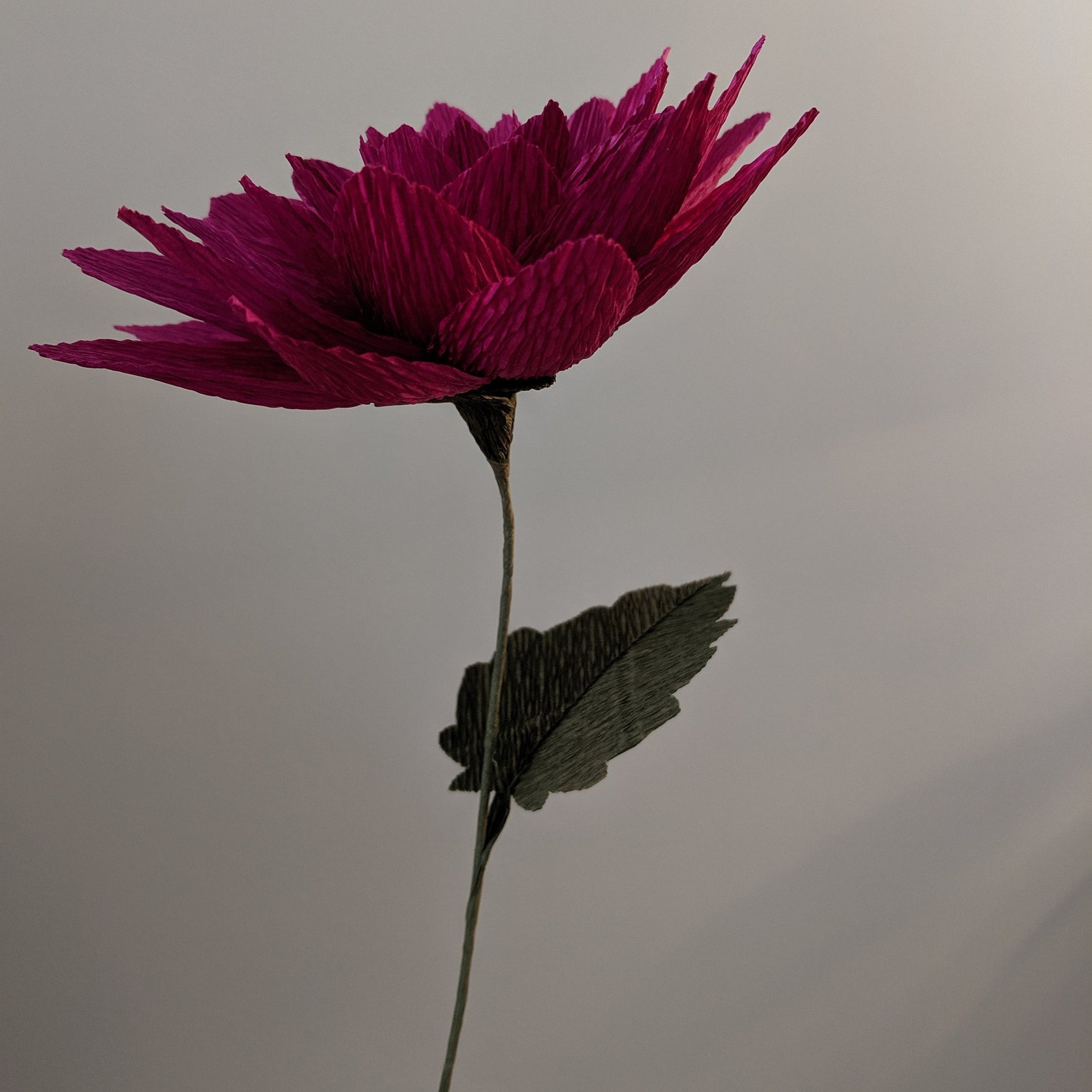 Downloadable Crepe Paper Dahlia Template/pdf Printable Download/diy ...