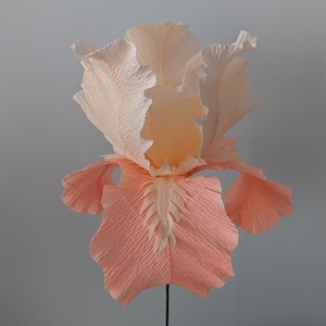 Downloadable Crepe Paper Iris Template/pdf Printable Download/diy Paper ...